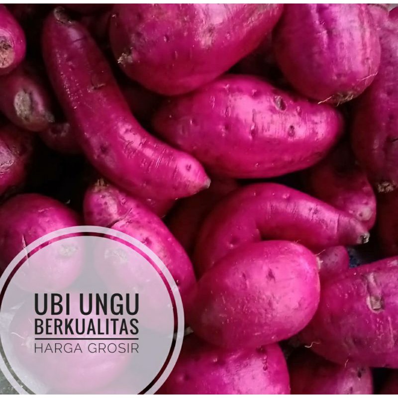 Jual UBI UNGU KUALITAS EXPORT 1kg | Shopee Indonesia