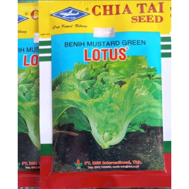Jual benih sawi pahit/sayur pait lotus | Shopee Indonesia