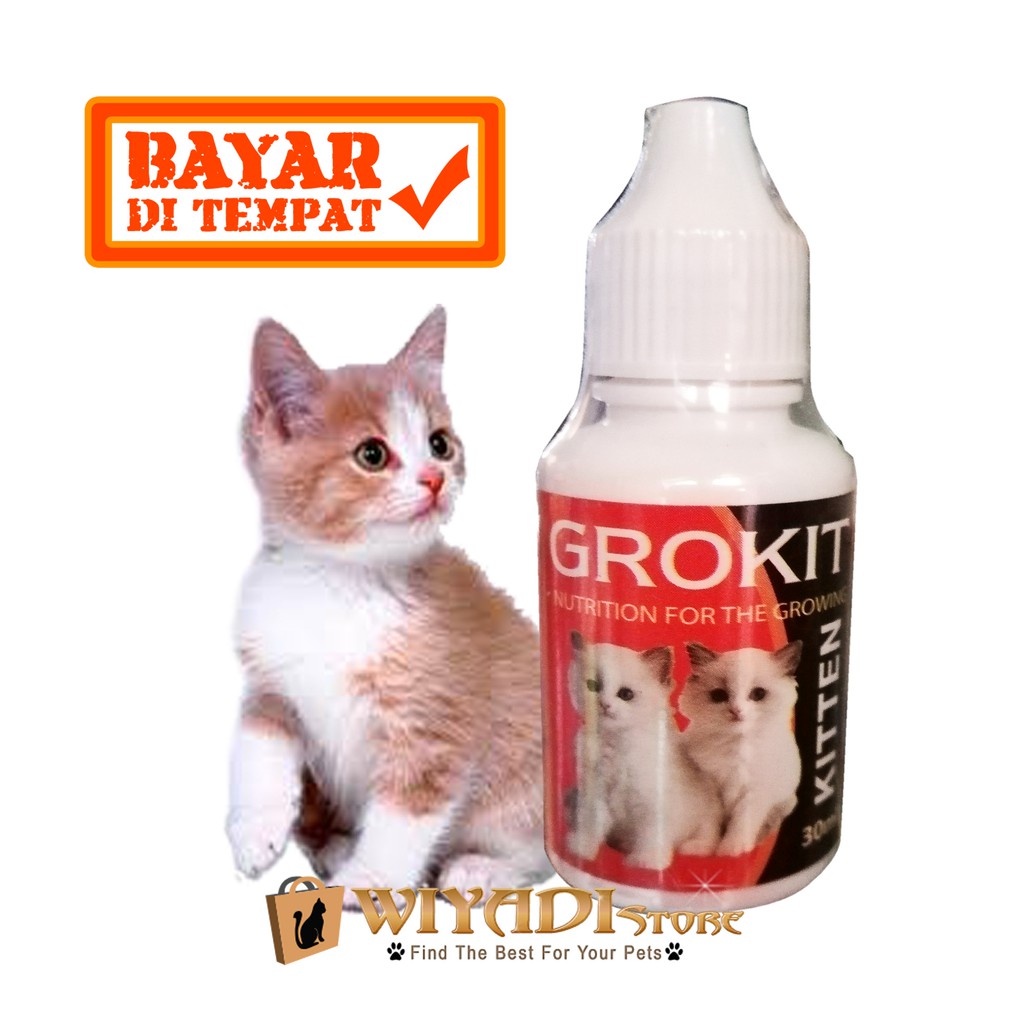Jual Grokit Vitamin Kucing Kitten Lemen Dan Tidak Aktif Penambah Napsu makan | Shopee Indonesia