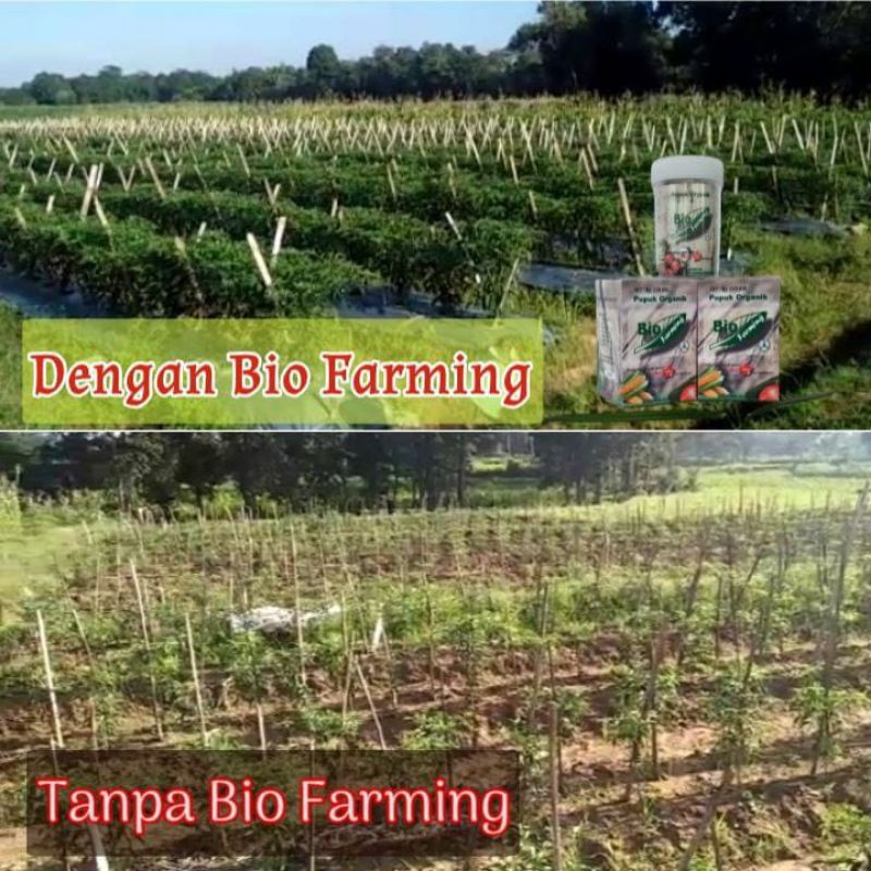Jual PROMO!!! Bio Farming 30gr (Pupuk Organik Super Aktif dengan Bio ...