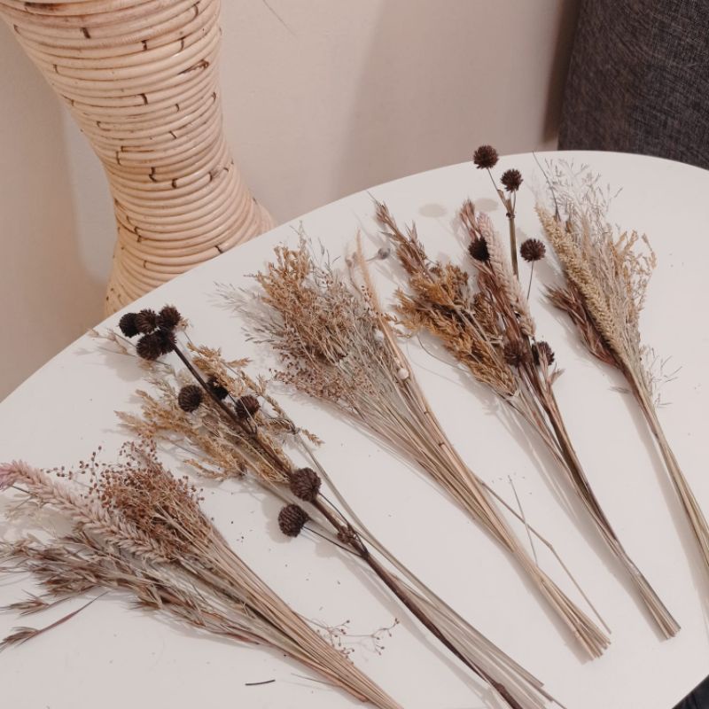 Jual 1 Set Dried Flower / Set Bunga Kering Murah | Shopee Indonesia