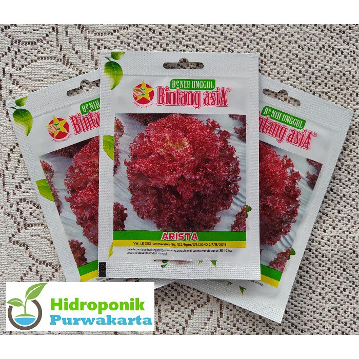 Jual BENIH LETTUCE SELADA MERAH ARISTA ISI 1000 BUTIR ORIGINAL PACKING ...