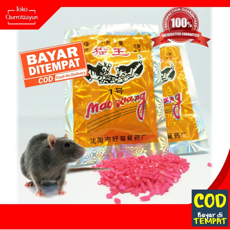 Jual OBAT RACUN PEMBASMI PEMBUNUH TIKUS CURUT MATI KERING DITEMPAT ...