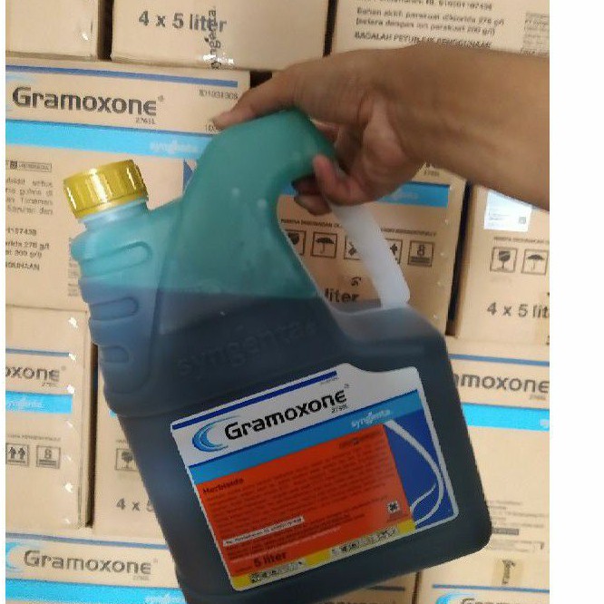 Jual Herbisida Gramoxone 276SL - 5liter | Shopee Indonesia