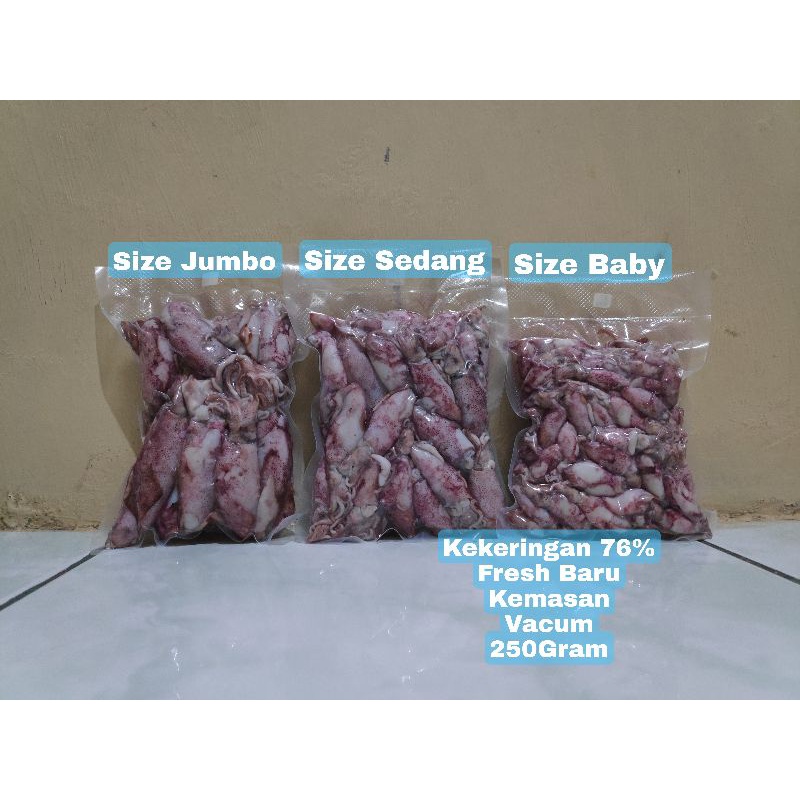 Jual Sotong / Cumi / Cumi Asin / Cumi Rebus 250 Gram Size Jumbo|Sedang|Baby | Shopee Indonesia
