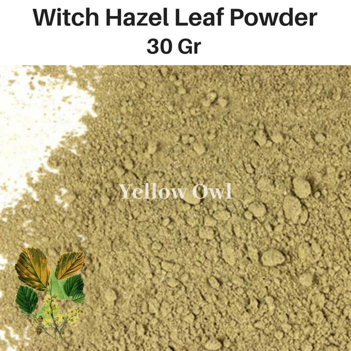 Jual Witch Hazel Leaf Powder - 30 Gram | Shopee Indonesia