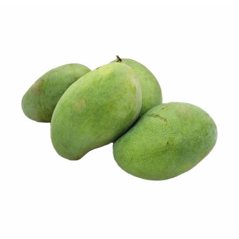 Jual Mangga indramayu / buah mangga / mango | Shopee Indonesia