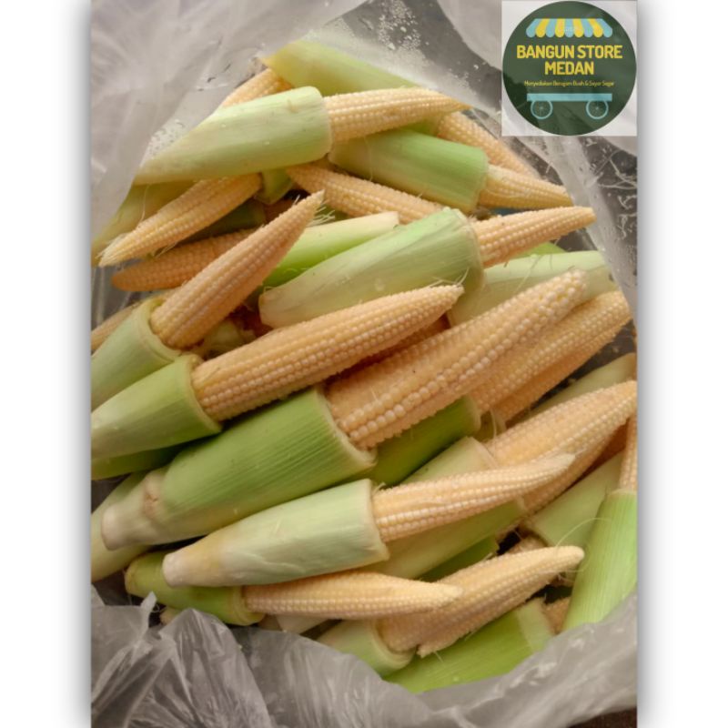 Jual BSM | TERMURAH Janten / Jagung Muda 250gr - 500gr - 1kg | Sayur ...