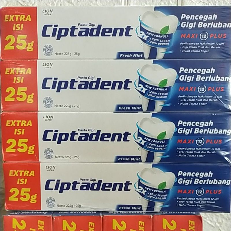 Jual CIPTADENT MAXI 12 PLUS JUMBO 225GR + 25GR | Shopee Indonesia