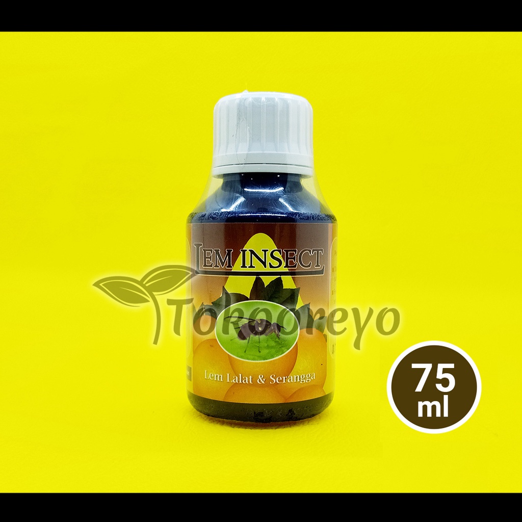 Jual LEM INSECT 75 ML PERANGKAP SERANGGA LALAT BUAH | Shopee Indonesia