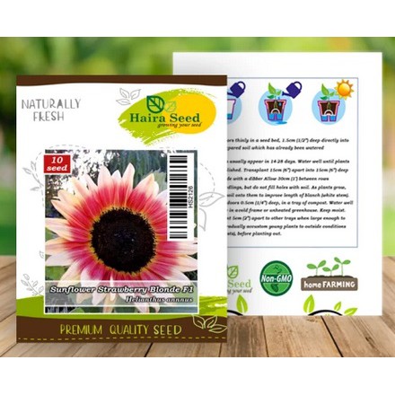 Jual BIBIT BUNGA MATAHARI STRAWBERRY / SUNFLOWER STRAWBERRY BLONDE F1 / HAIRA SEED / KEMASAN ...