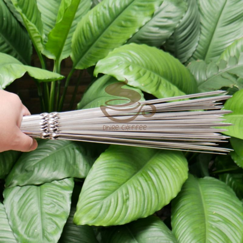 Jual TUSUK SATE Stainless Steel Barbeque Reusable Cooking Tools Tusukan ...