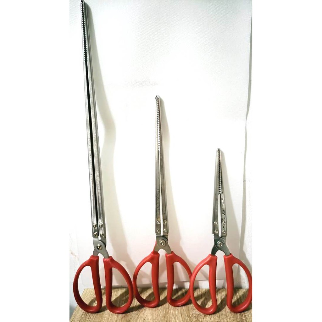 Jual Gunting capit untuk mengambil Seafood kepiting belut ikan ujung ...