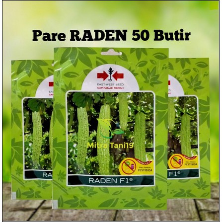 Jual BIBIT BENIH TANAMAN SAYUR HIDROPONIK PARIA PARE RADEN 50 BUTIR CAP ...