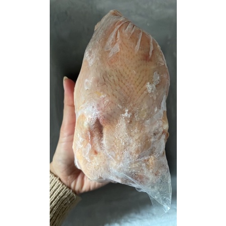 Jual daging ayam broiler ( ayam potong ) | Shopee Indonesia