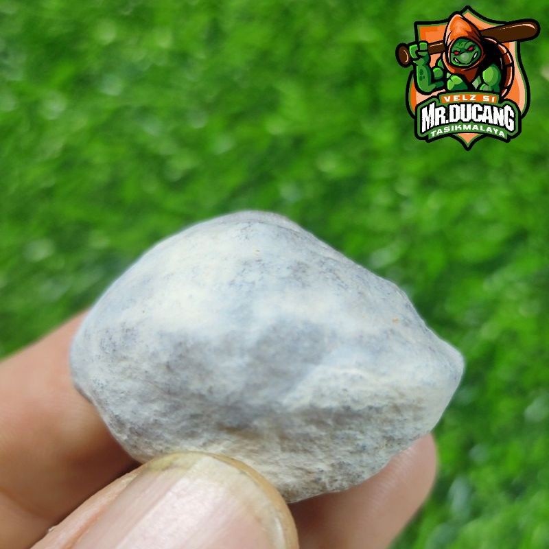Jual MUNCANG ADU KEMIRI MANTILI BAGIO SI DOMBA ORI 100% | Shopee Indonesia