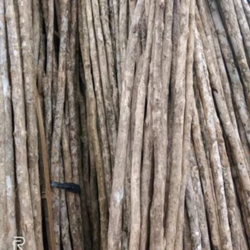 Jual Kayu kopi lonjoran 1.5 meter | Shopee Indonesia
