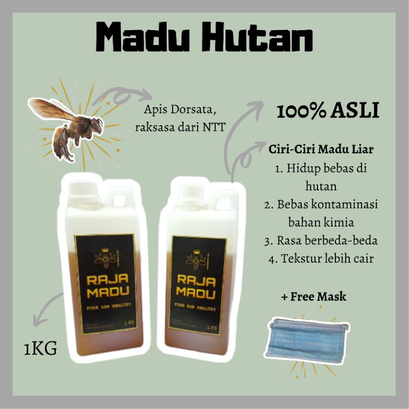 Jual MADU HUTAN || APIS DORSATA || 1 KG | Shopee Indonesia