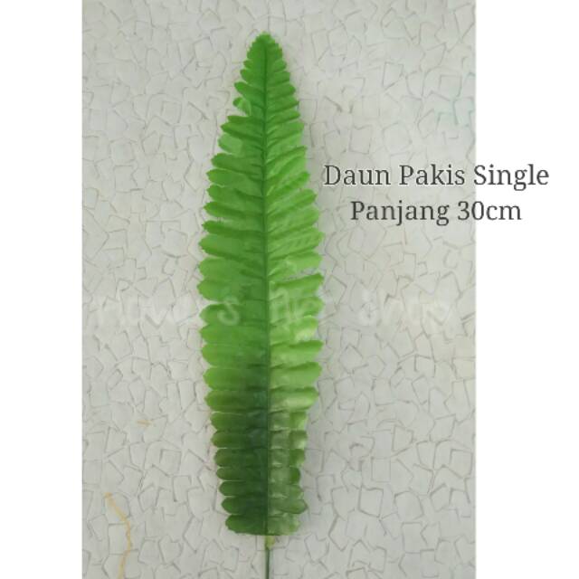 Jual Daun pakis / daun artificial | Shopee Indonesia