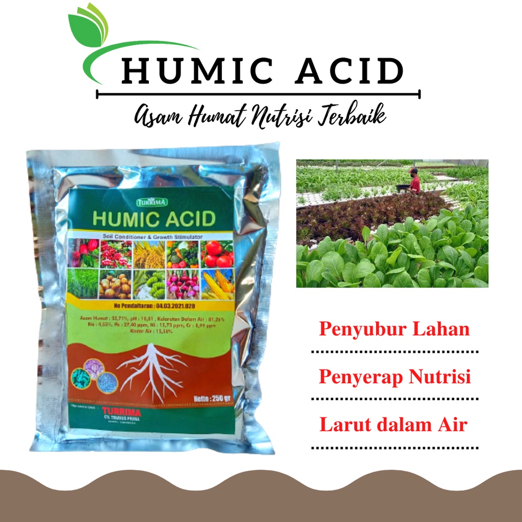 Jual Asam Humat 250 gram Terbaik Untuk Padi, Pupuk Pembenah Memperbaiki Nutrisi Tanah, Pupuk ...