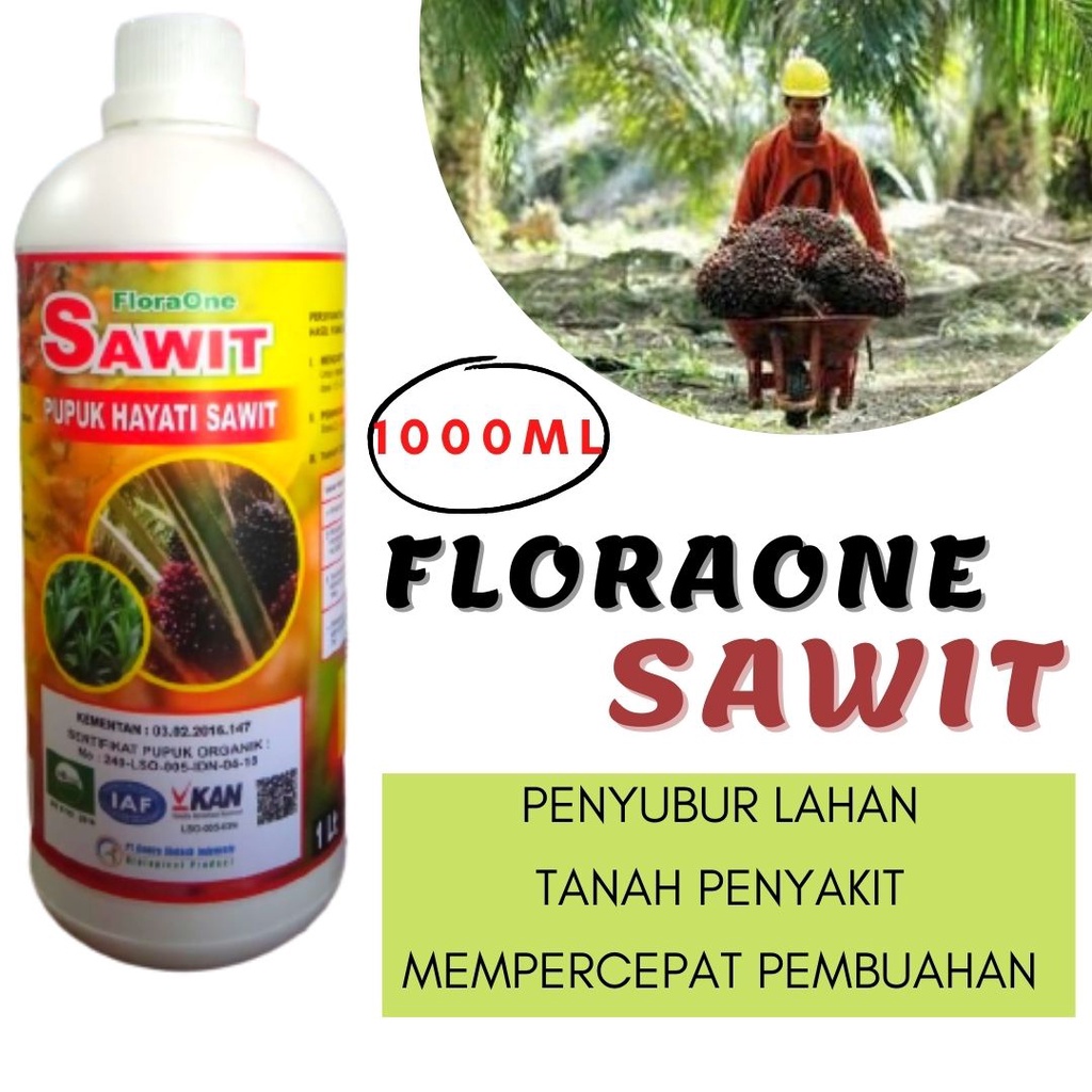 Jual Obat Sawit Atasi Jamur Ganoderma, Pupuk Kelapa Sawit Agar Berbuah ...