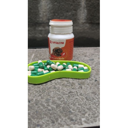 Jual CAPSULE PRO RAPTOR ECERAN(Perkapsul) OBAT SAKIT LEMAS KURA SULCATA ...