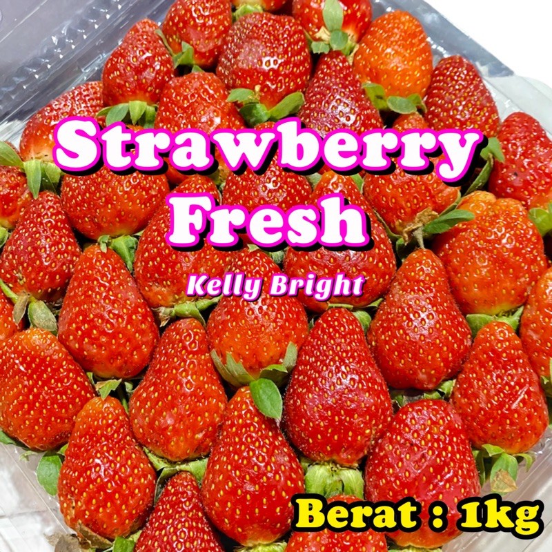 Jual Strawberry Fresh Kelly Bright ±900gr - 1kg | Shopee Indonesia