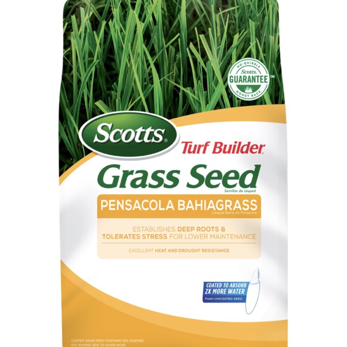 Jual Biji Rumput Pesacola BahiaGrass Benih Rumput Humidicola | Shopee ...