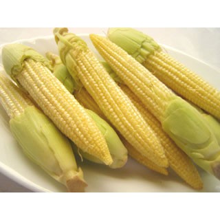 Jual Jagung Muda | Acar | Baby Corn [ Harga Per KG ] | Shopee Indonesia