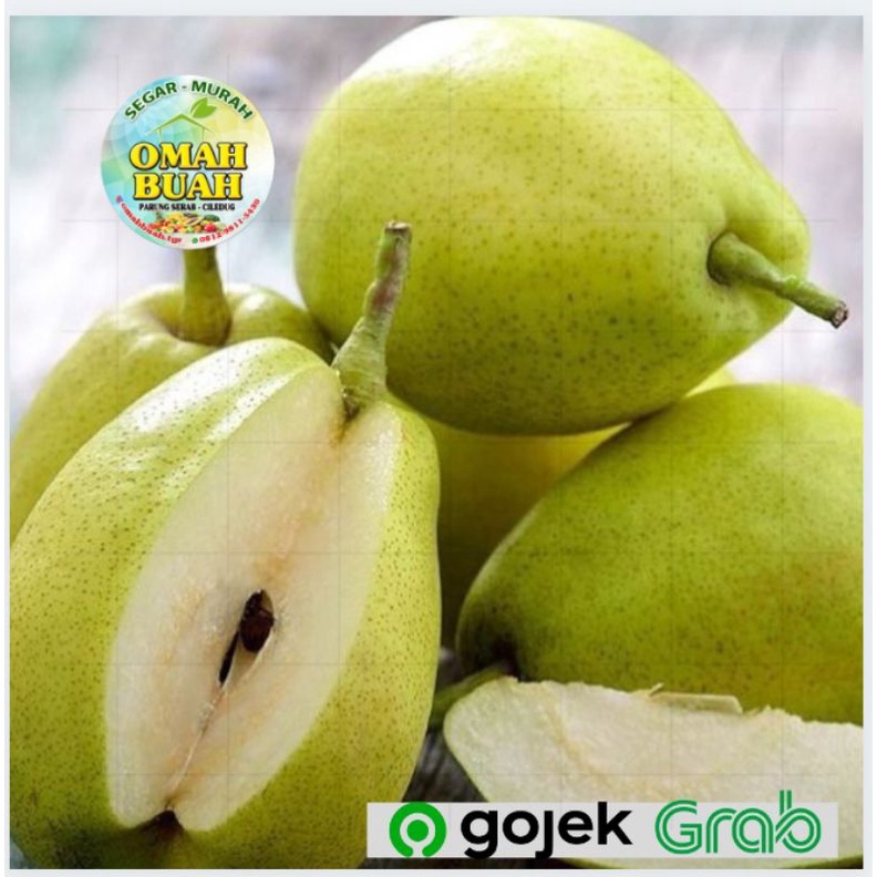 Jual Pear Xianglie Pir Xiang lie manis | Shopee Indonesia