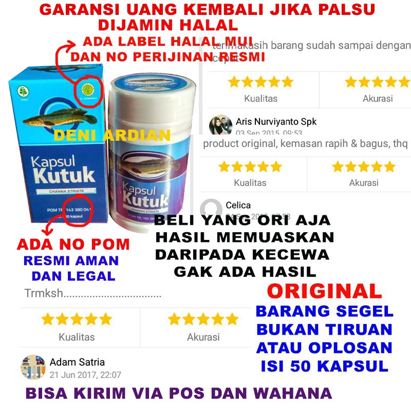 Jual Kapsul Kutuk Sari Ikan Gabus | Shopee Indonesia
