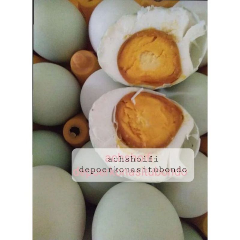 Jual Telur Asin Masir Matang GRATIS packing buble wrap | Shopee Indonesia