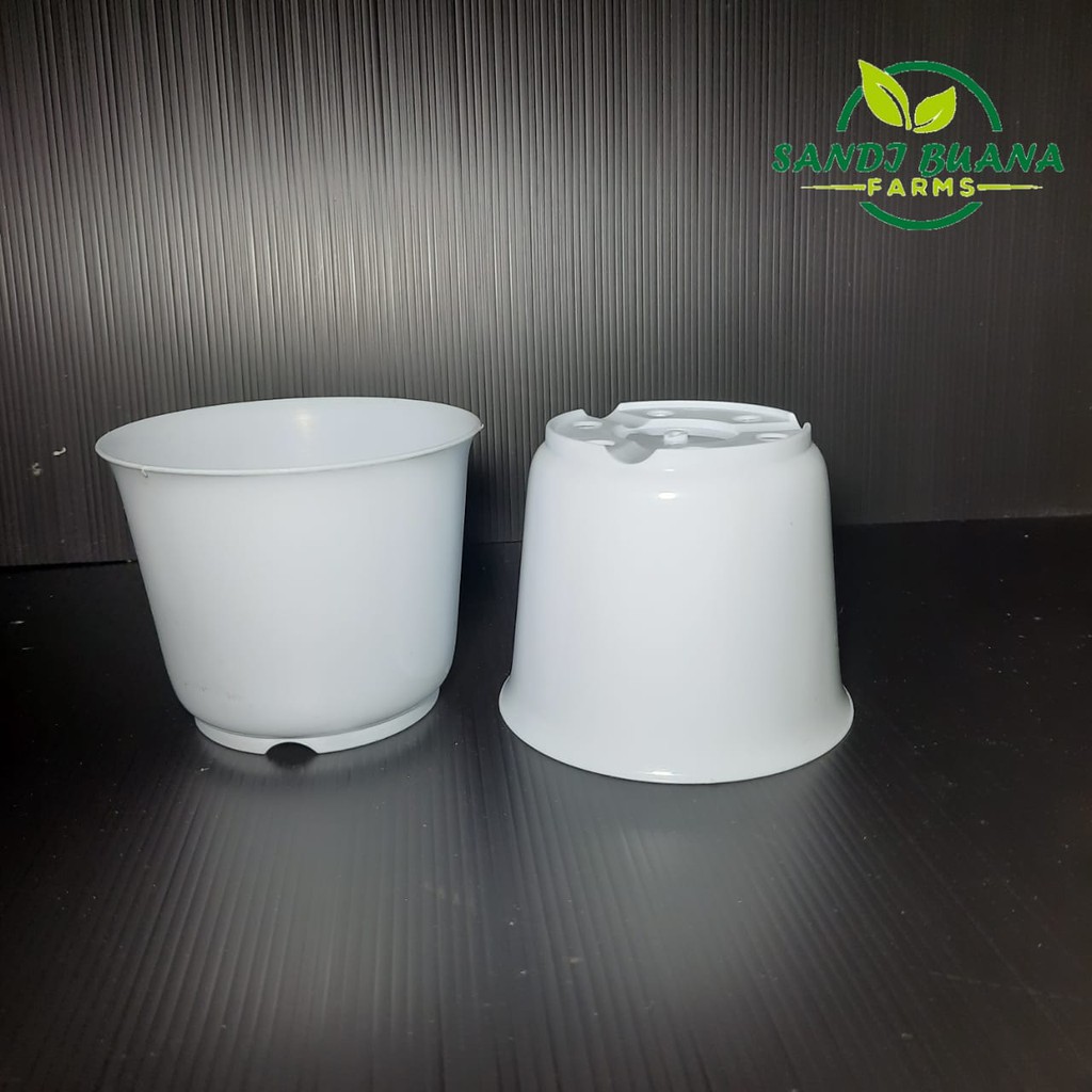 Jual POT AVATAR 12 PUTIH POLOS | Shopee Indonesia