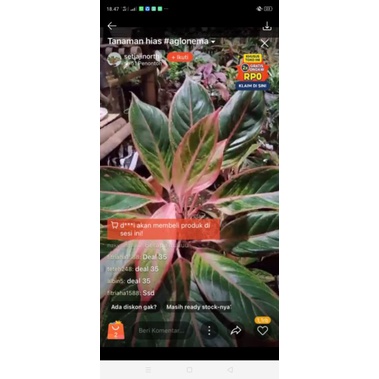 Jual cek out | Shopee Indonesia