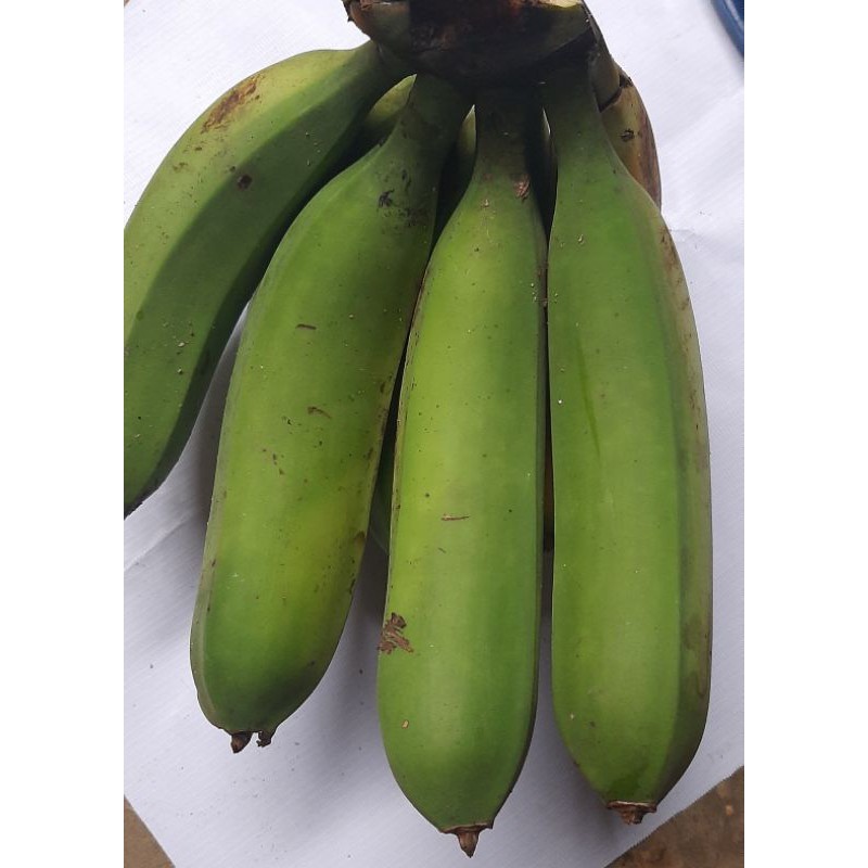Jual Pisang Raja untuk keripik dan olahan pisang lainnya | Shopee Indonesia