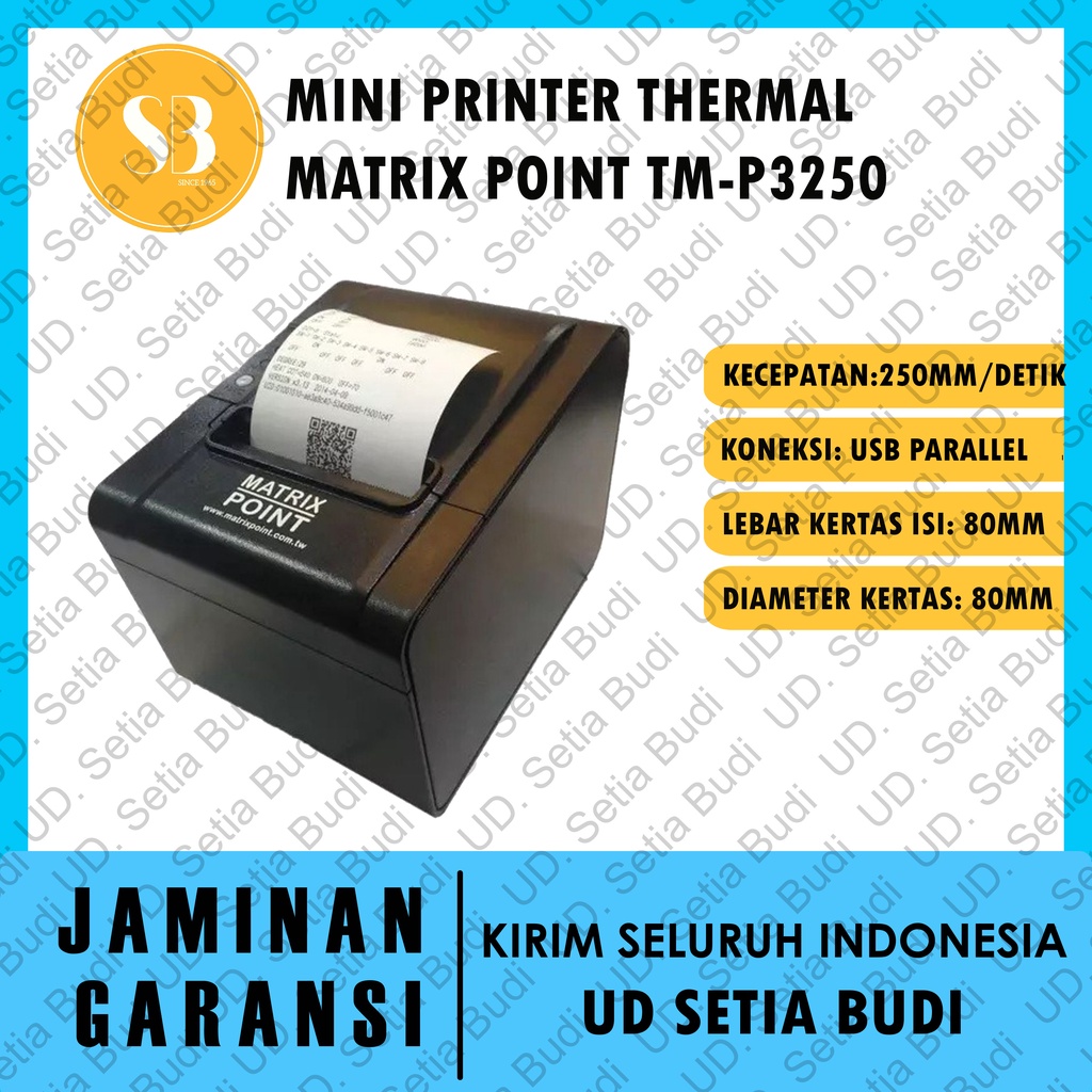 Jual Mini Printer USB Parallel Matrix Point TM-P3250 Thermal Printer ...