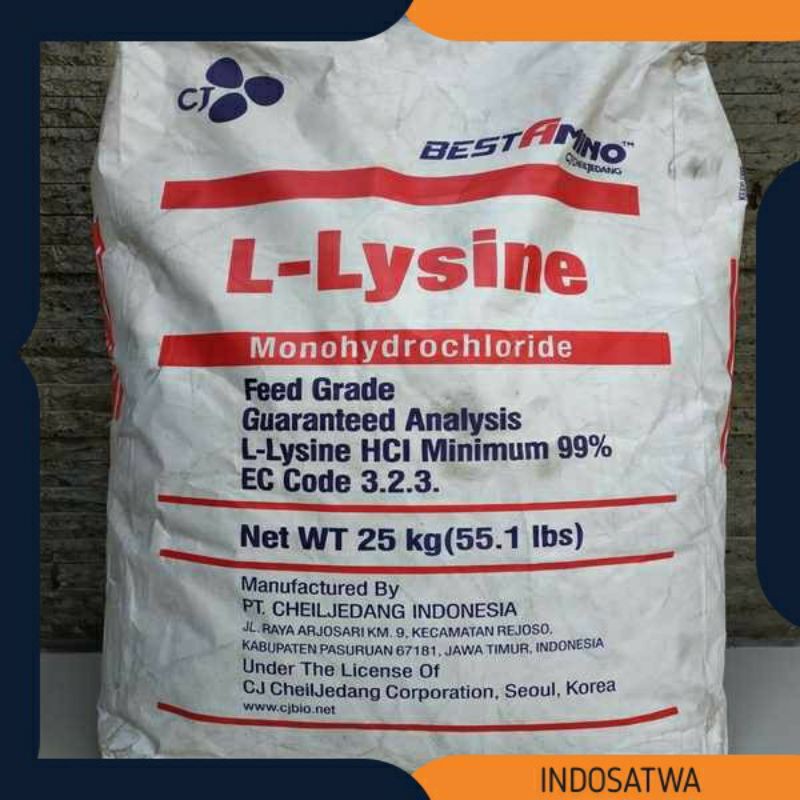 Jual LYSINE 1 KG LISIN LYSIN LISINE LEUSIN SUPLEMEN VITAMIN KUCING ...