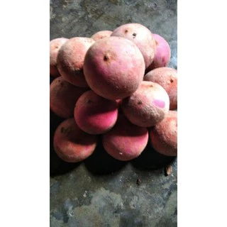 Jual Buah Bisbul Terlengkap & Harga Terbaru Maret 2026 | Shopee Indonesia