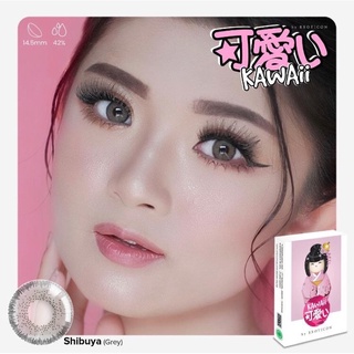 Jual Softlens X2 KAWAII 14,5 MM Normal & Minus (-0,50 S/D -6,00) By X2 ...