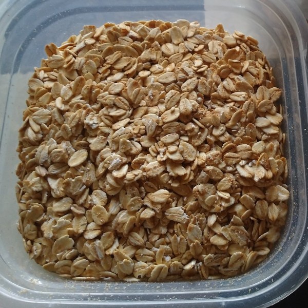 Jual 100gr Gandum Utuh - Reg Oat - Pure Oat Non Instan - Varian Mentah ...