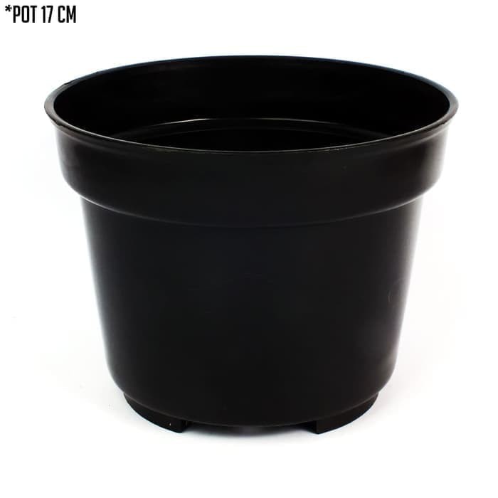 Jual Pot Bunga Taman Ukuran Pot 17 Cm Hitam | Shopee Indonesia
