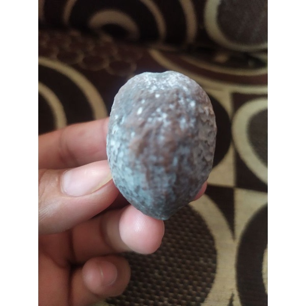 Jual Muncang adu J.U super (Jayanti Ustdaz) | Shopee Indonesia