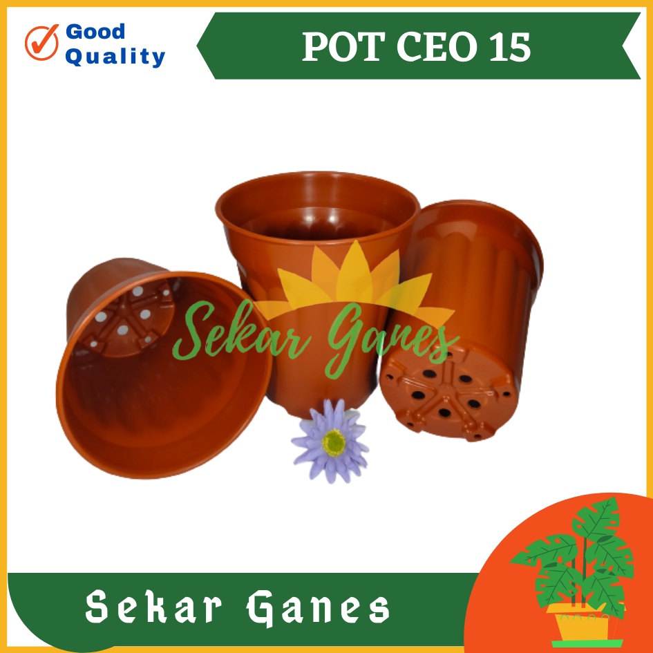 Jual Pot Tinggi Ceo 15 Coklat Merah Bata - Mirip Pot Yogap 15 Murah Pot ...