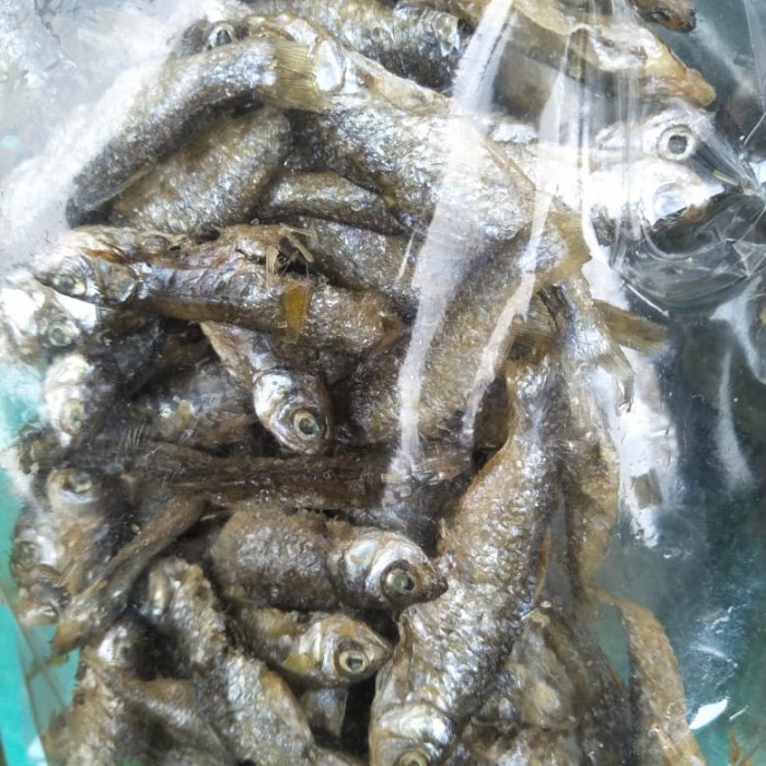 Jual Ikan Bilih/ Bilis ASLI Danau Singkarak/Ikan Bilih Padang | Shopee ... Jual Ikan Bilih/ Bilis ASLI Danau Singkarak/Ikan Bilih Padang | Shopee ...