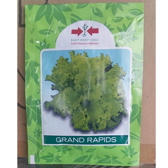 Jual Benih Selada Grand Rapids 15 gr | Shopee Indonesia