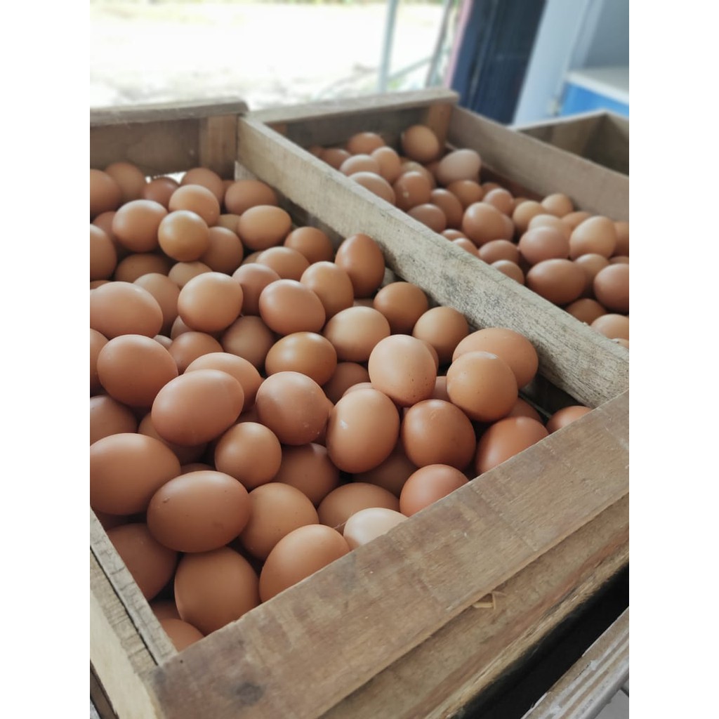 Jual TELUR AYAM SUPER FRESH ISI 19-20 BUTIR / KG | Shopee Indonesia