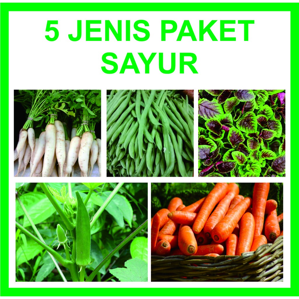 Jual PAKET LENGKAP 5 JENIS SAYUR | Shopee Indonesia