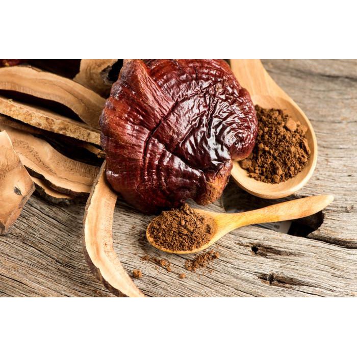 Jual GANODERMA EXTRACT POWDER JAMUR GANODERMA BUBUK 50GR | Shopee Indonesia