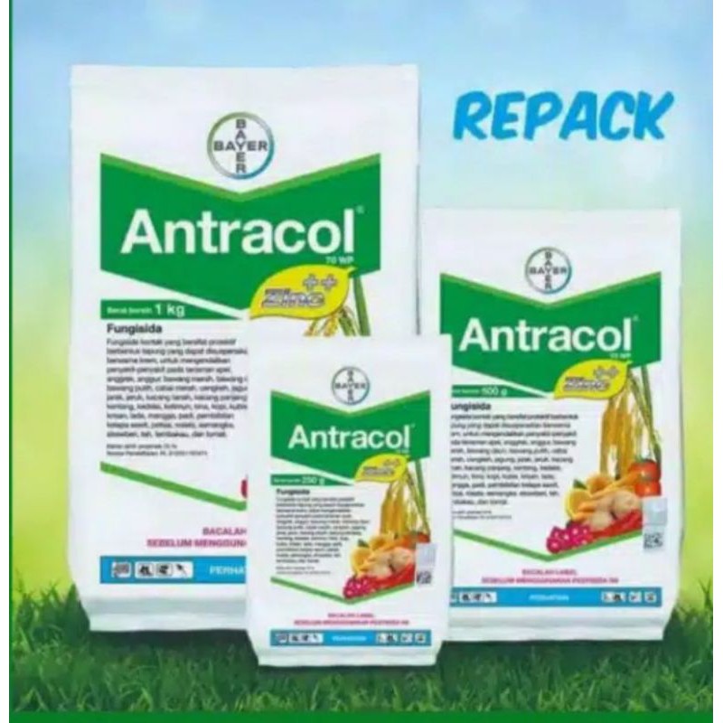 Jual FUNGISIDA ANTRACOL 70 WP + ZINC REPACK, obat fungi hama jamur ...