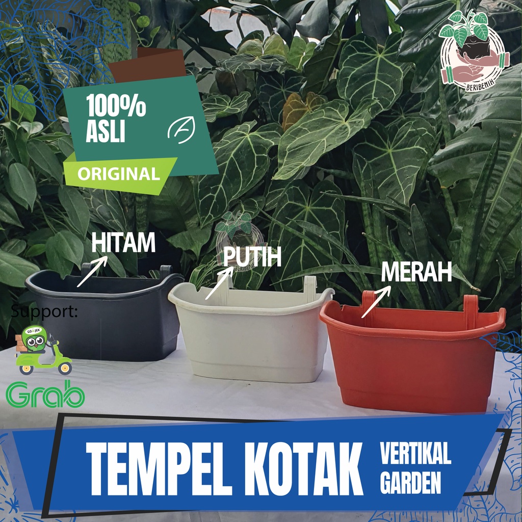 Jual POT DINDING TIP-S & TIP-M POT VERTIKAL GARDEN TEMPEL ORIGINAL POT ...